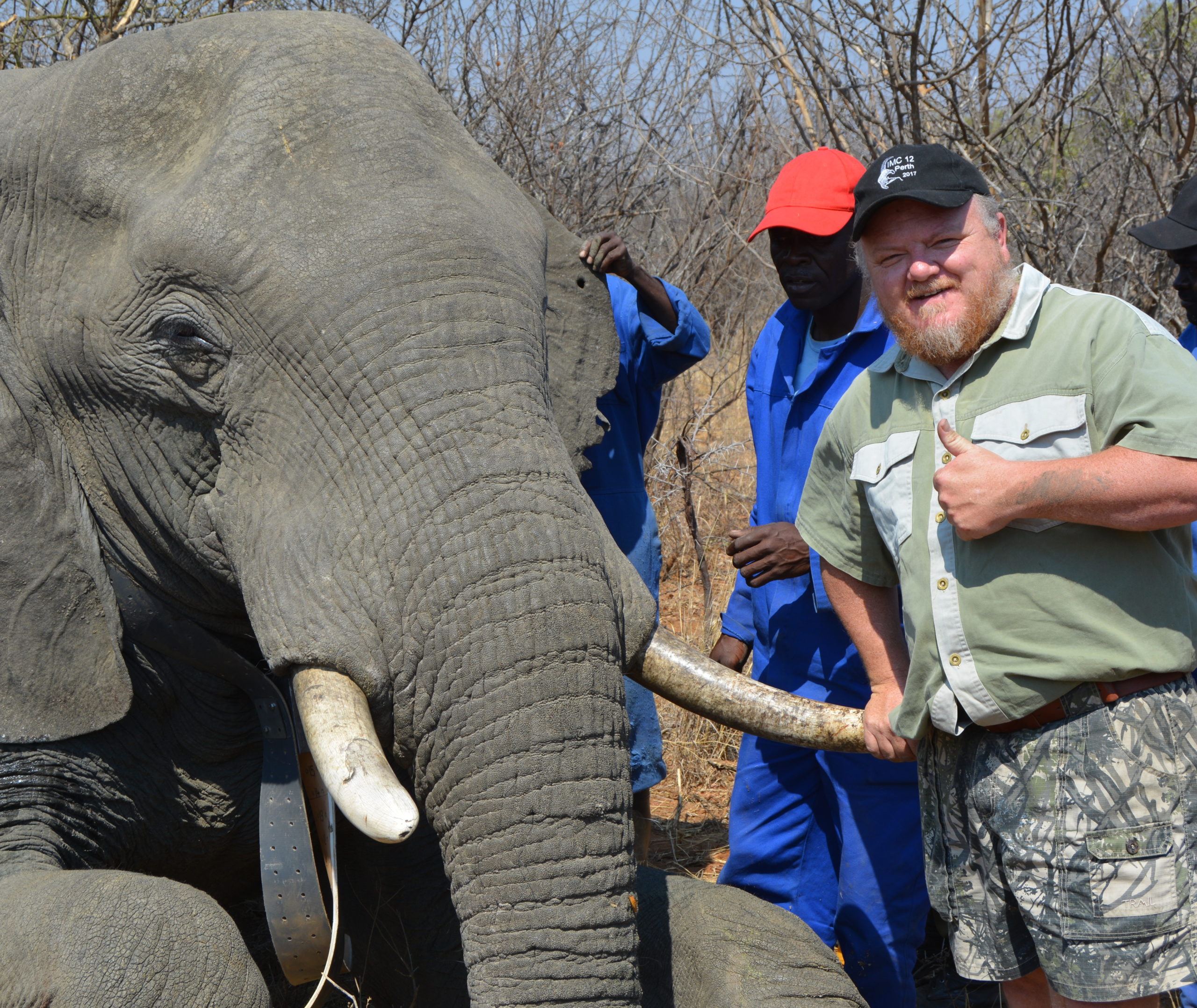 Jan A. Venter, Prof. - Biodiversity Intactness for Africa