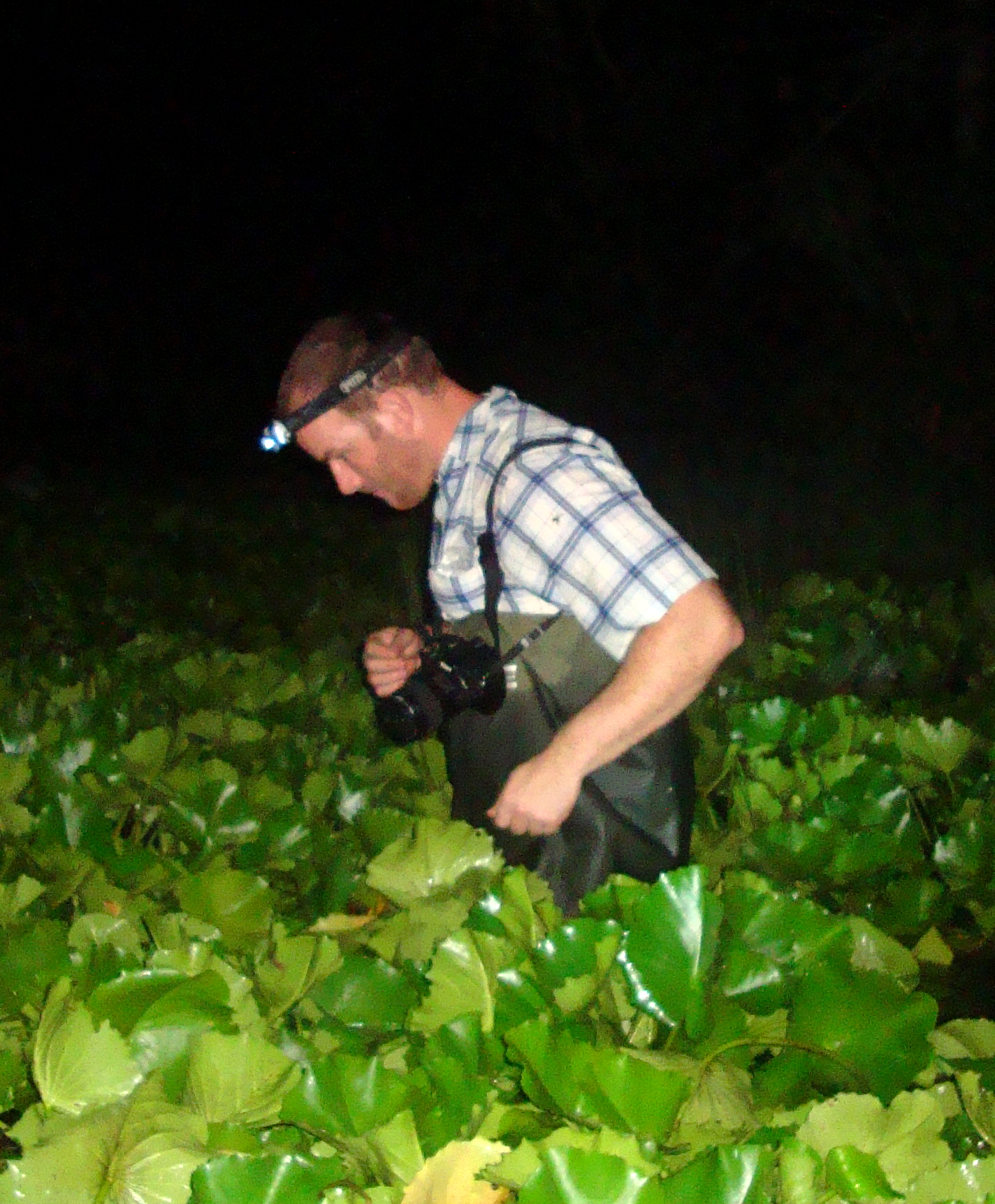 James Harvey - Biodiversity Intactness for Africa